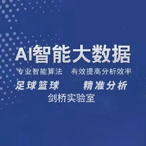 Ai智能大数据 