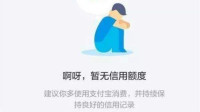 为什么借呗额度突然消失了,总结这六个原因