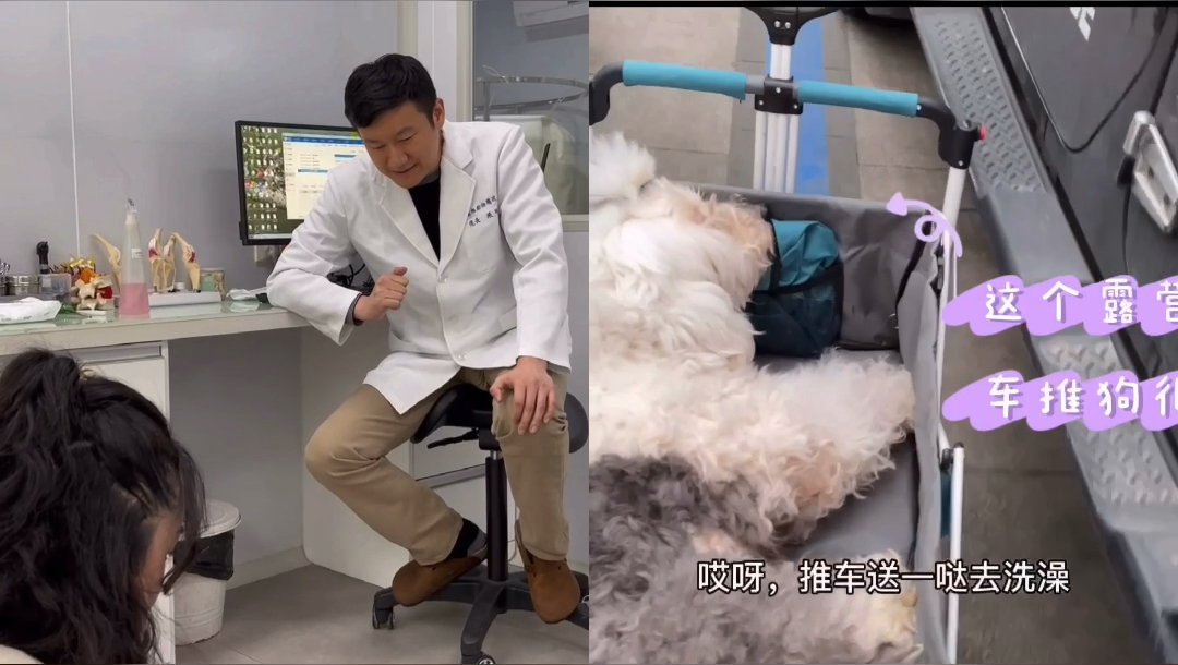 带一哒去网红宠物医生张旭看病记上周四一