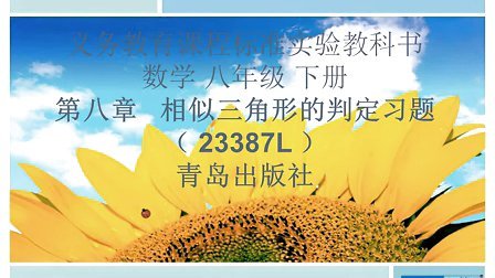 青岛出版社63制初中数学八年级下第八章相似三角形的判定习题
