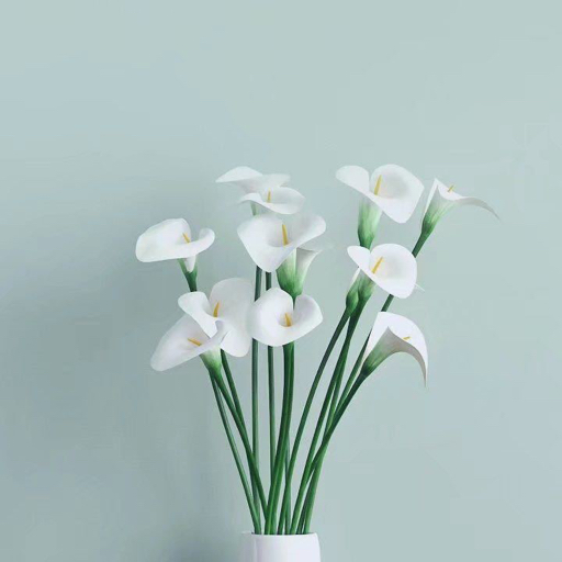 bili_45851968392 