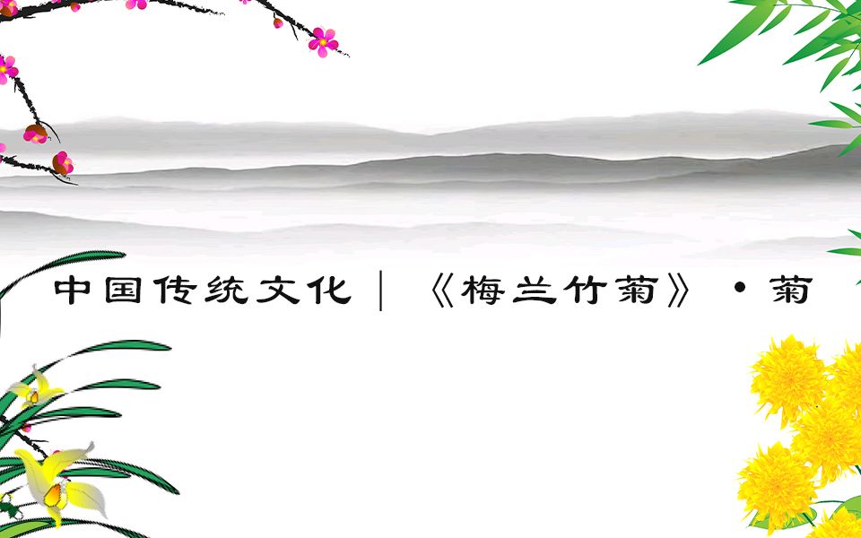 中国传统文化|《梅兰竹菊》-菊