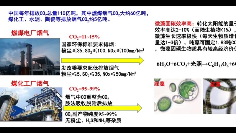 微藻生物利用,二氧化碳固定ccus技术开发