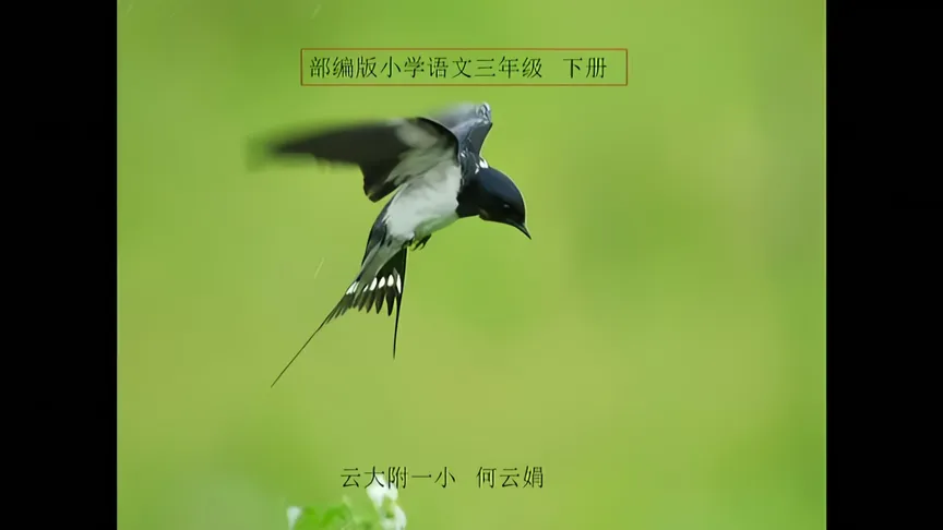 部编版小学语文优质课 燕子 教学实录 三年级下册