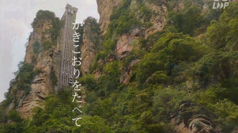 张家界森林公园一日游