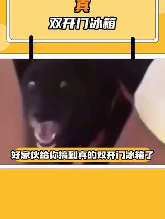 这个喷不了,这个是真·双开门冰箱