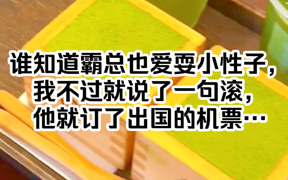 谁知道霸总也爱耍小性子,我不过就说了一句滚,他就订了出国的机票,气...