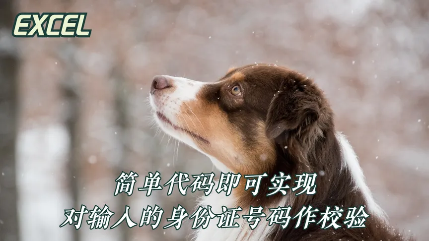 Excel-VBA应用(7):简单代码即可实现对输入的身份证号码作校验