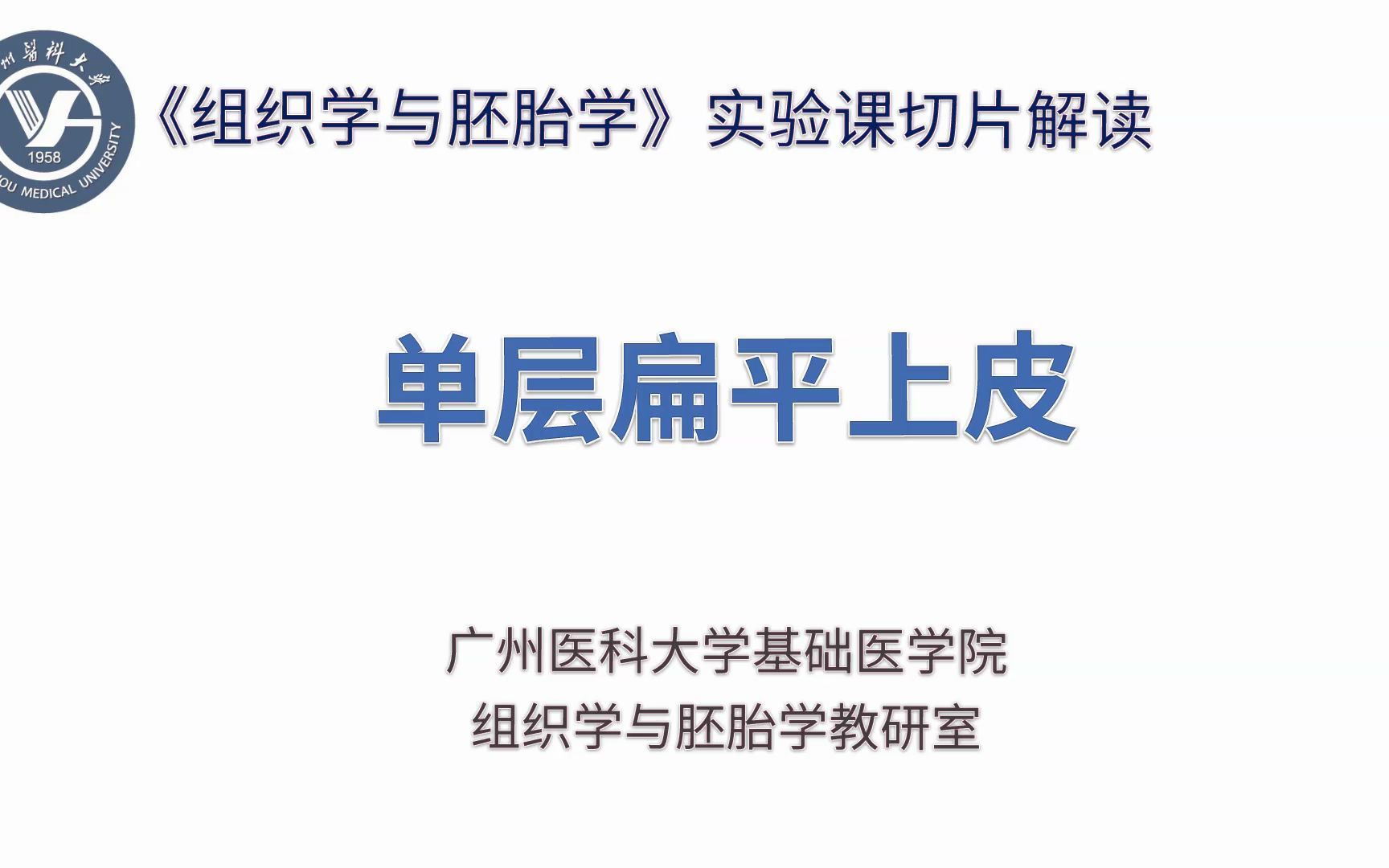 《组织学与胚胎学》实验课讲解视频—上皮组织—单层扁平上皮