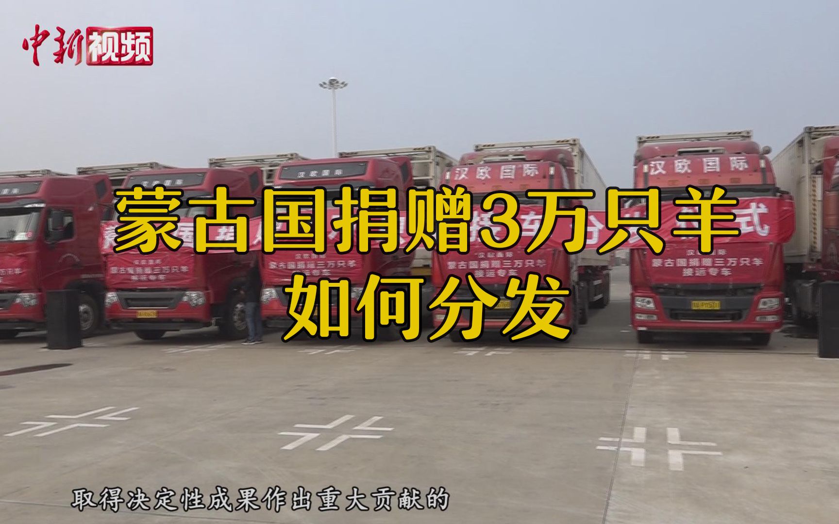 首批蒙古国捐赠羊抵达武汉 将分配给医务工作者