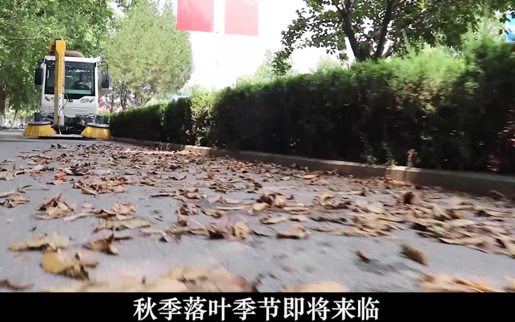 纯电动树叶收集车功能齐全吸叶效率高