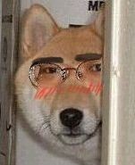 狗牙之怒 