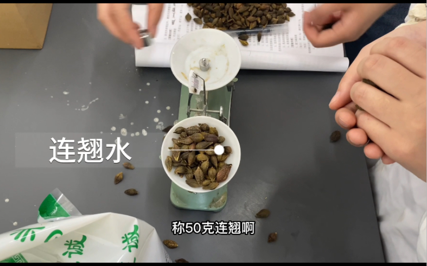 【中药药剂学Vlog08】液体药剂 连翘水 羧甲基纤维素钠溶液 炉甘石洗剂