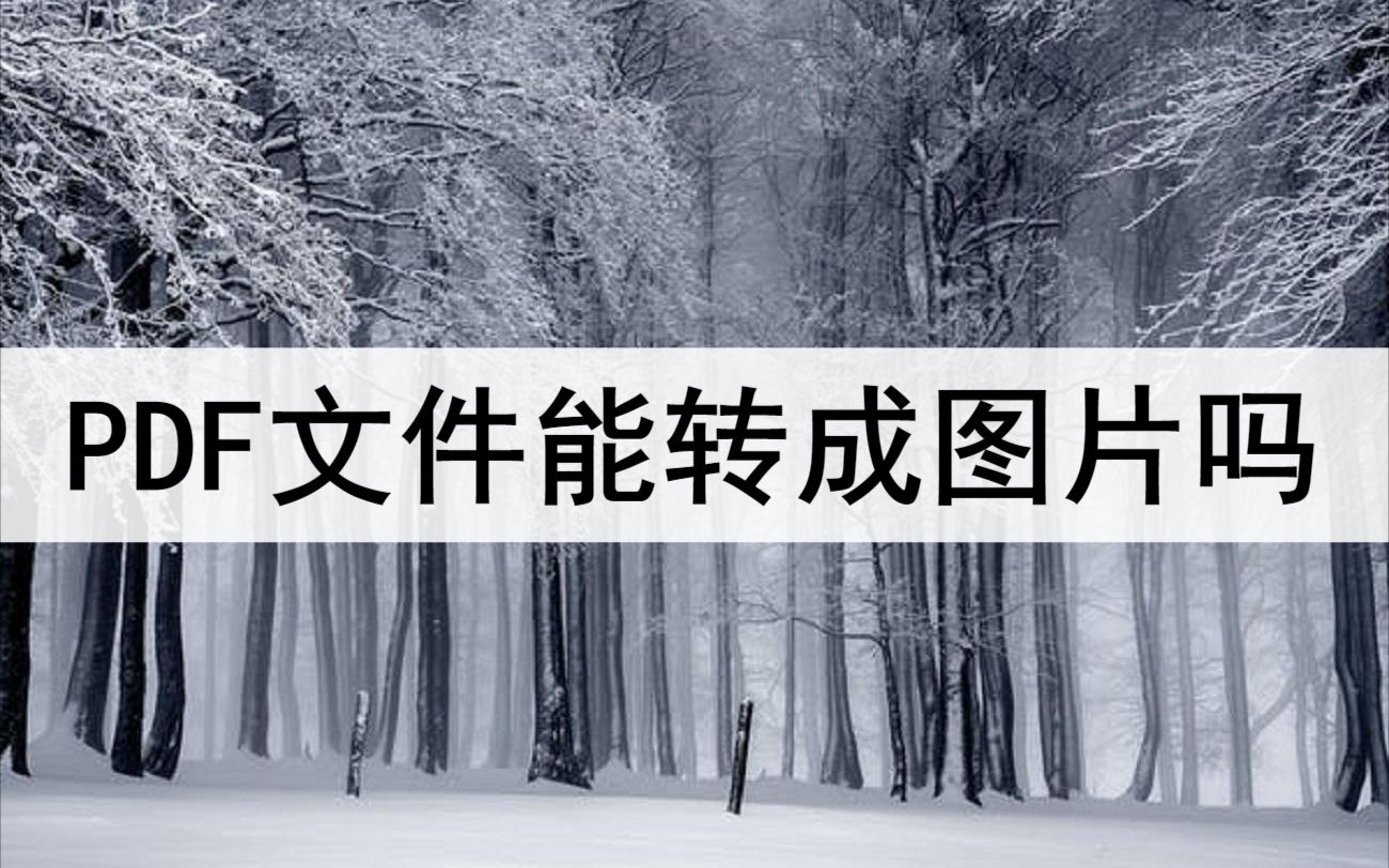 PDF文件能转成图片吗?这个妙招学会就搞定
