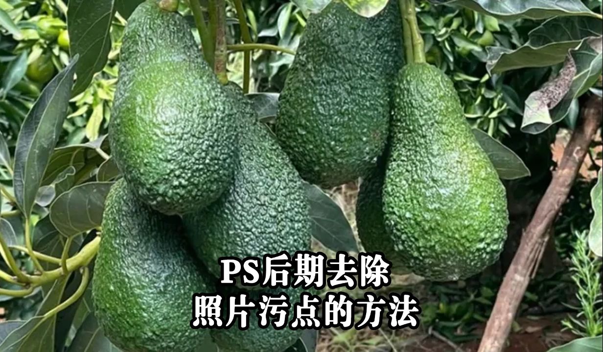 PS后期污点去除的方法