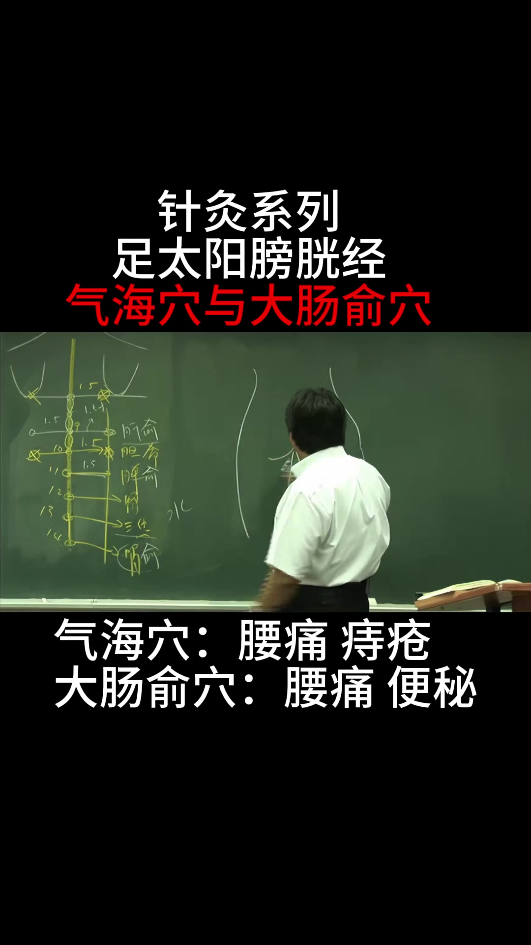气海穴与大肠俞穴#中医#养生#中医养生知识#中医穴位