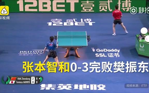 【张本智和】0-3输给樊振东后不再张狂,谈与中国球员差距:输了球才知...
