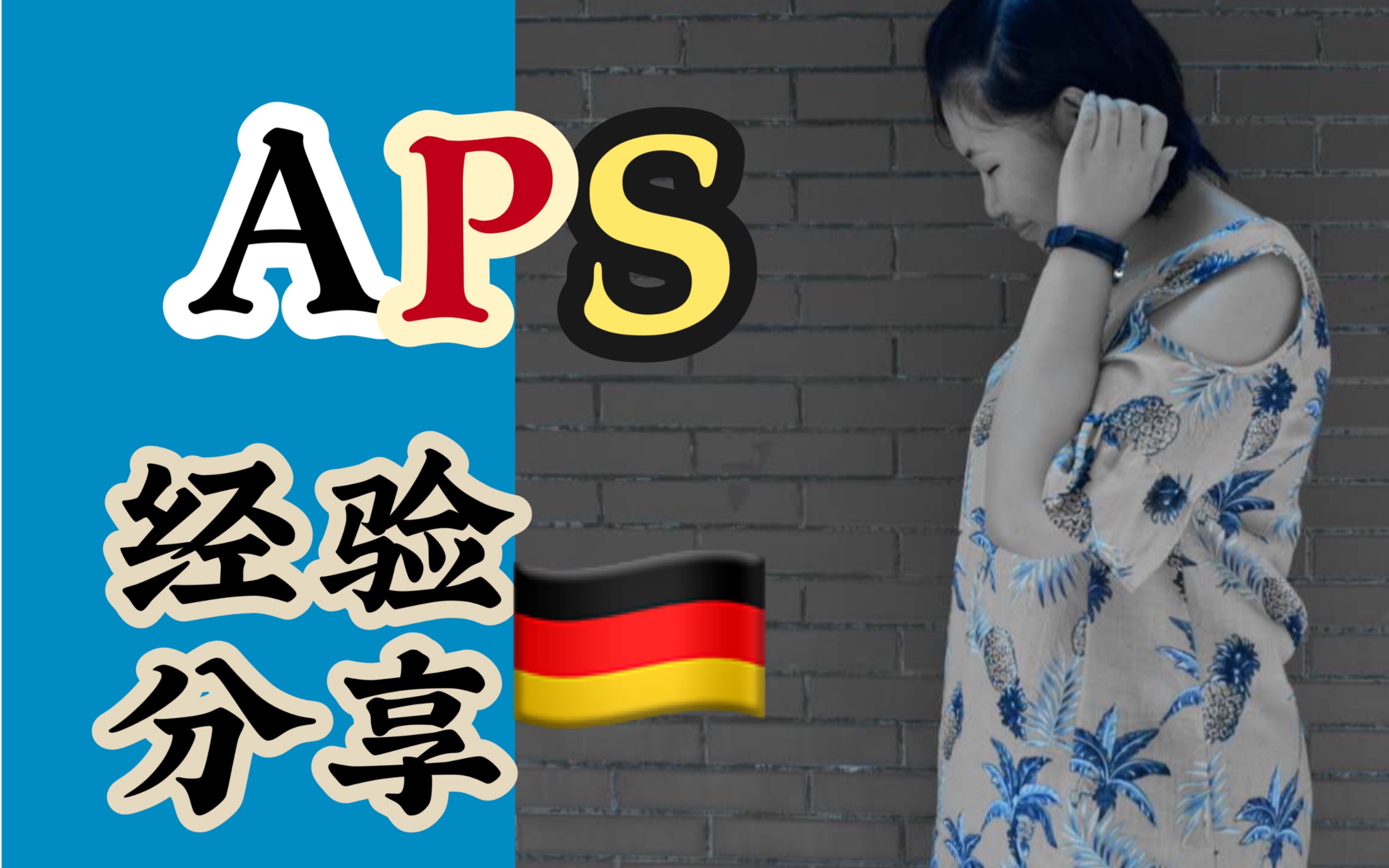 【中德双语】APS经验分享,不分享内容,只分享流程