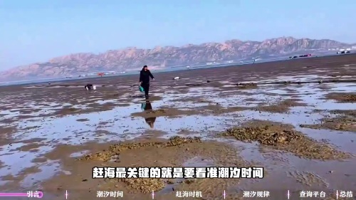 黄岛区赶海潮汐表2025年