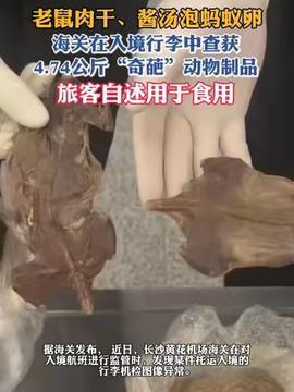 老鼠肉干、酱汤泡蚂蚁卵……长沙海关在入境行李中查获4.74公斤"...
