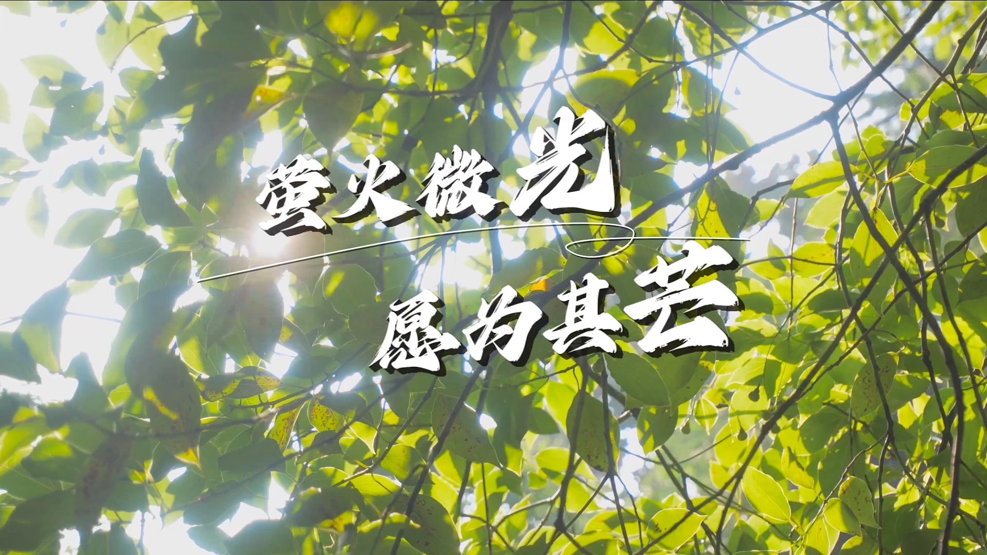 《萤火微光 愿为其芒》“我心中的思政课”第八届全国高校大学生微...