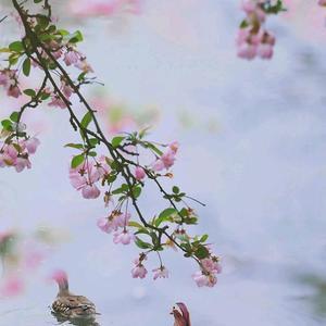 小白侃电影 