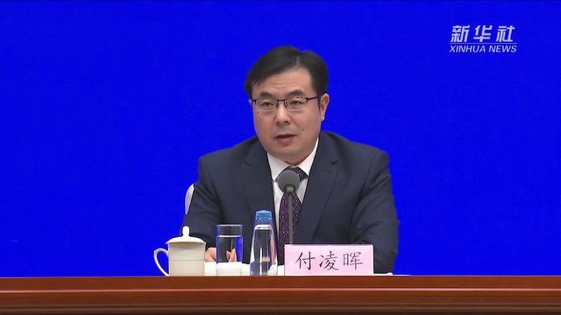 付凌晖:通过多种方式严惩统计造假