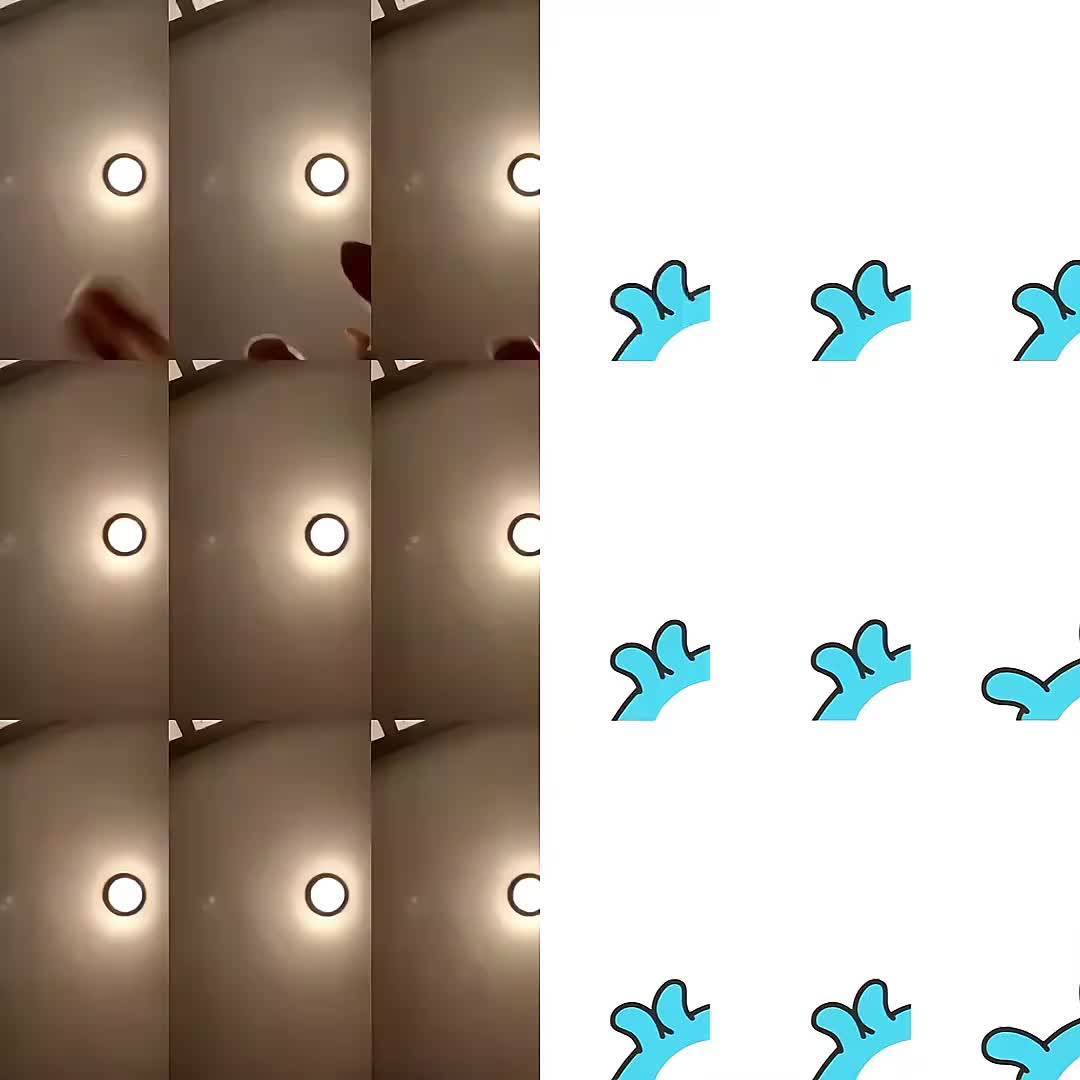 现实版猫猫与动画版猫猫虫咖波有趣对比。