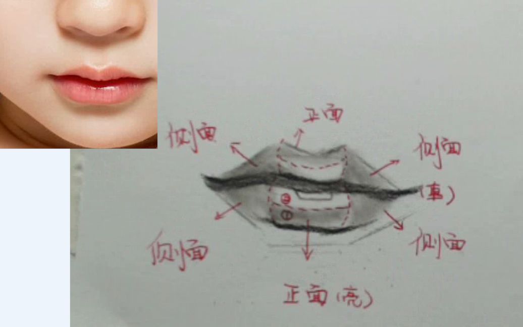 这么详细的嘴巴画法教程,你确定不来了解下?简直就是新手福利啊