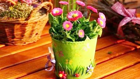 宜植爱花植急诊室17:秋天一到,让植物开花结果得来点技巧