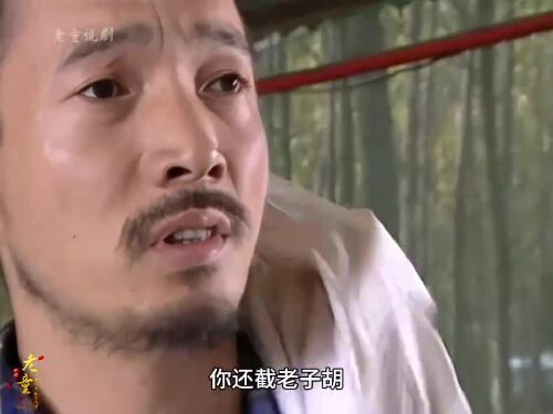 杨兵来农家乐打工遭到大厨的针对