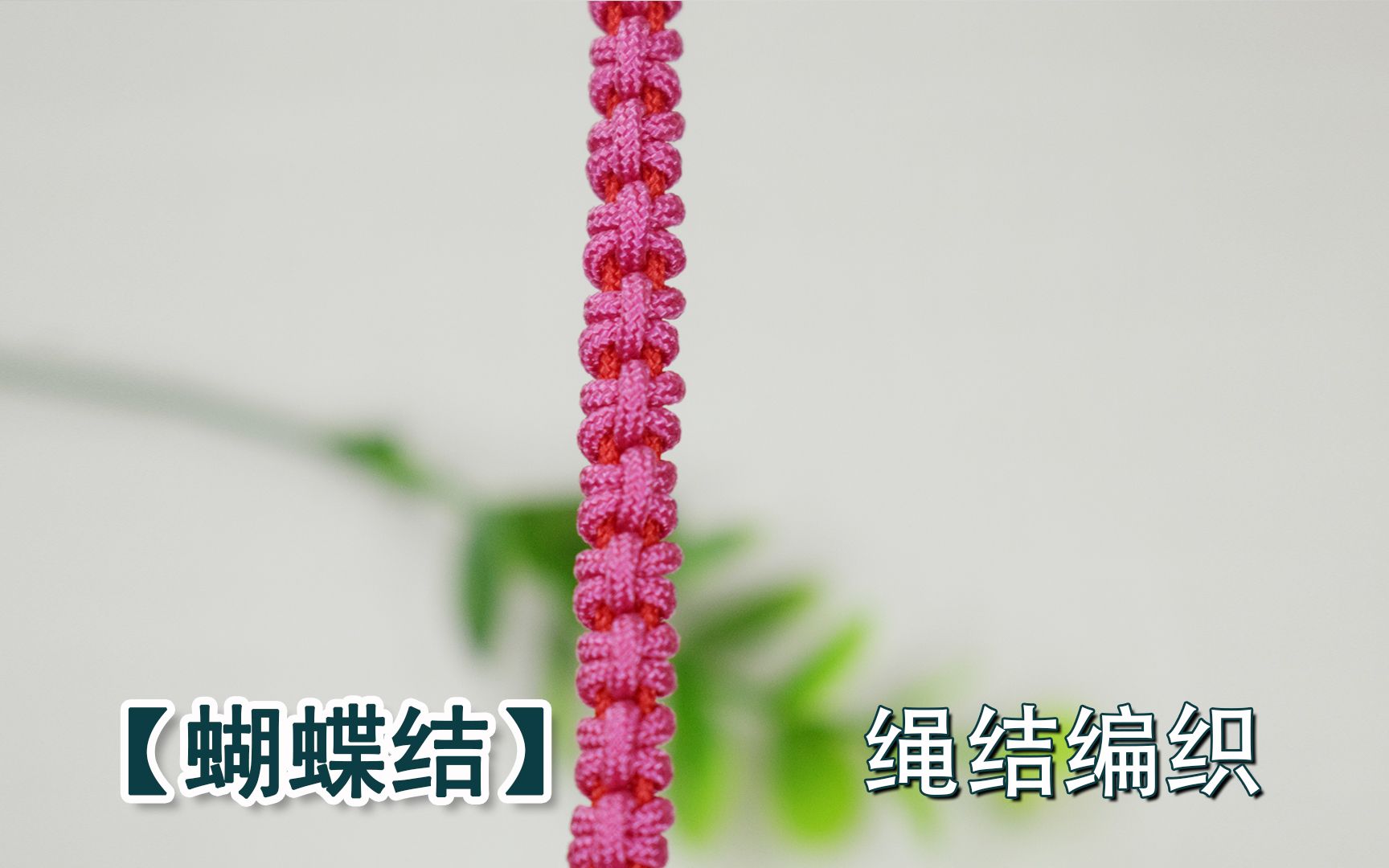 【绳结教程】中国结之蝴蝶结编织方法,代表着浪漫爱情的绳结 !