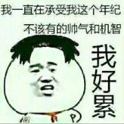 枫姨 