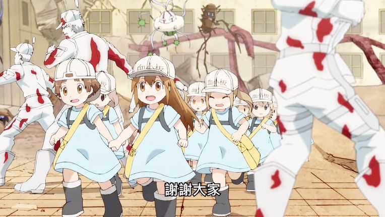 在白细胞的掩护下,可爱的血小板开始治愈伤口,最终成功消灭细菌