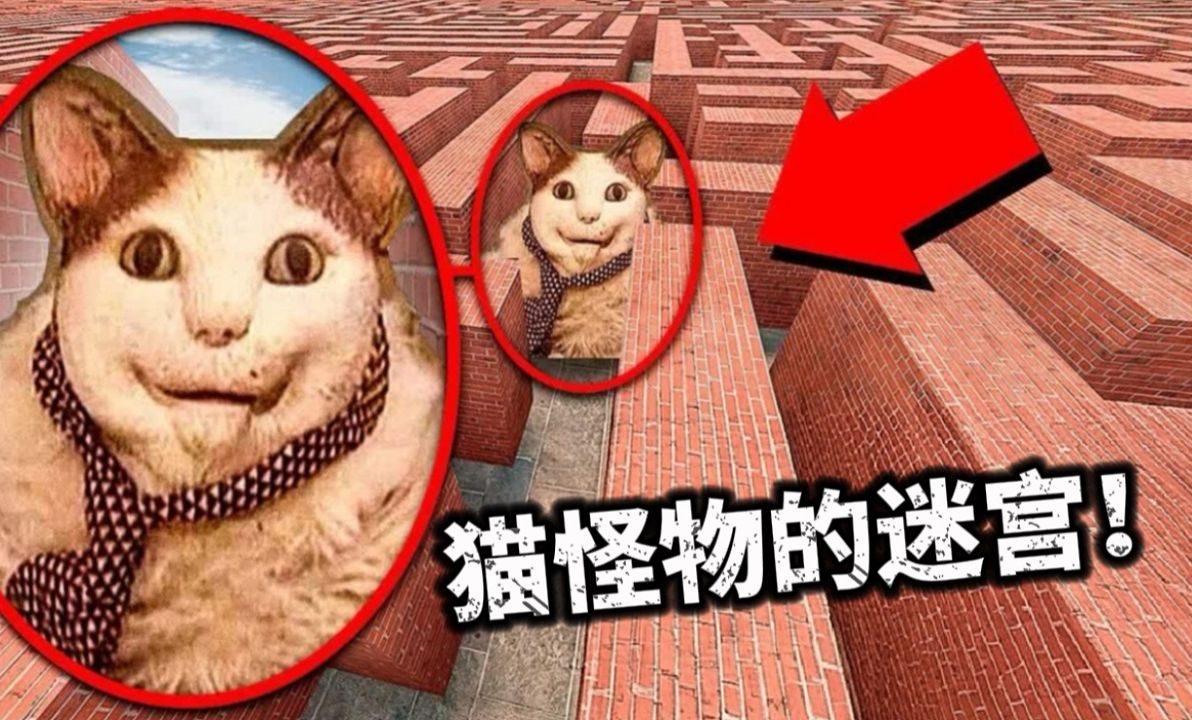 盖瑞模组:下水管道漏水,原来是猫怪干的!