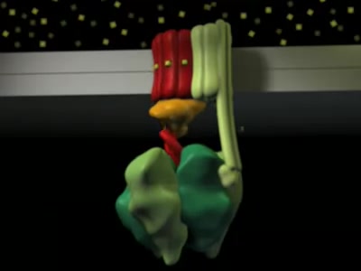 细胞生物学动画第二部分