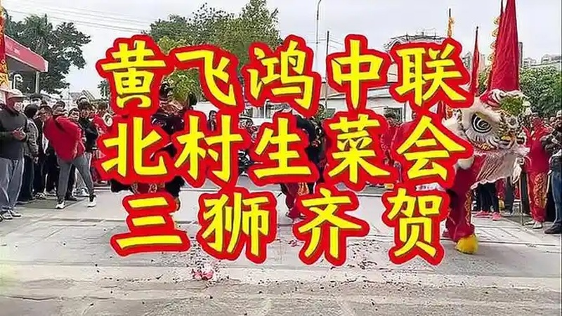 佛山市南海黄飞鸿中联电缆武术龙狮协会参加大沥北村生菜会·三狮...