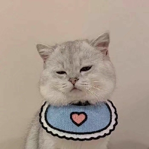 初中生物老师-杨树红 