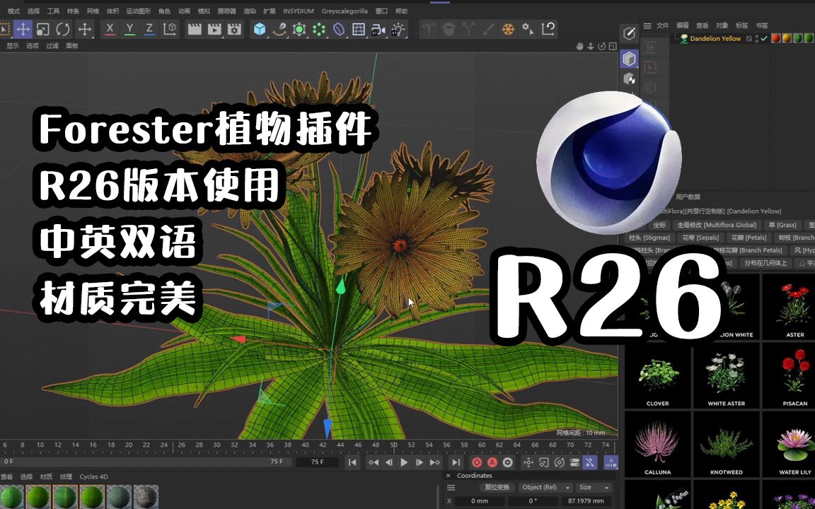 C4DR26 中英双语完美材质 植物生成插件分享