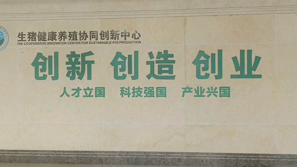科研小白如何构建重组表达质粒