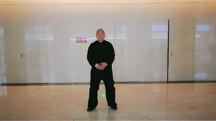 赵堡太极拳 传承国学经典
