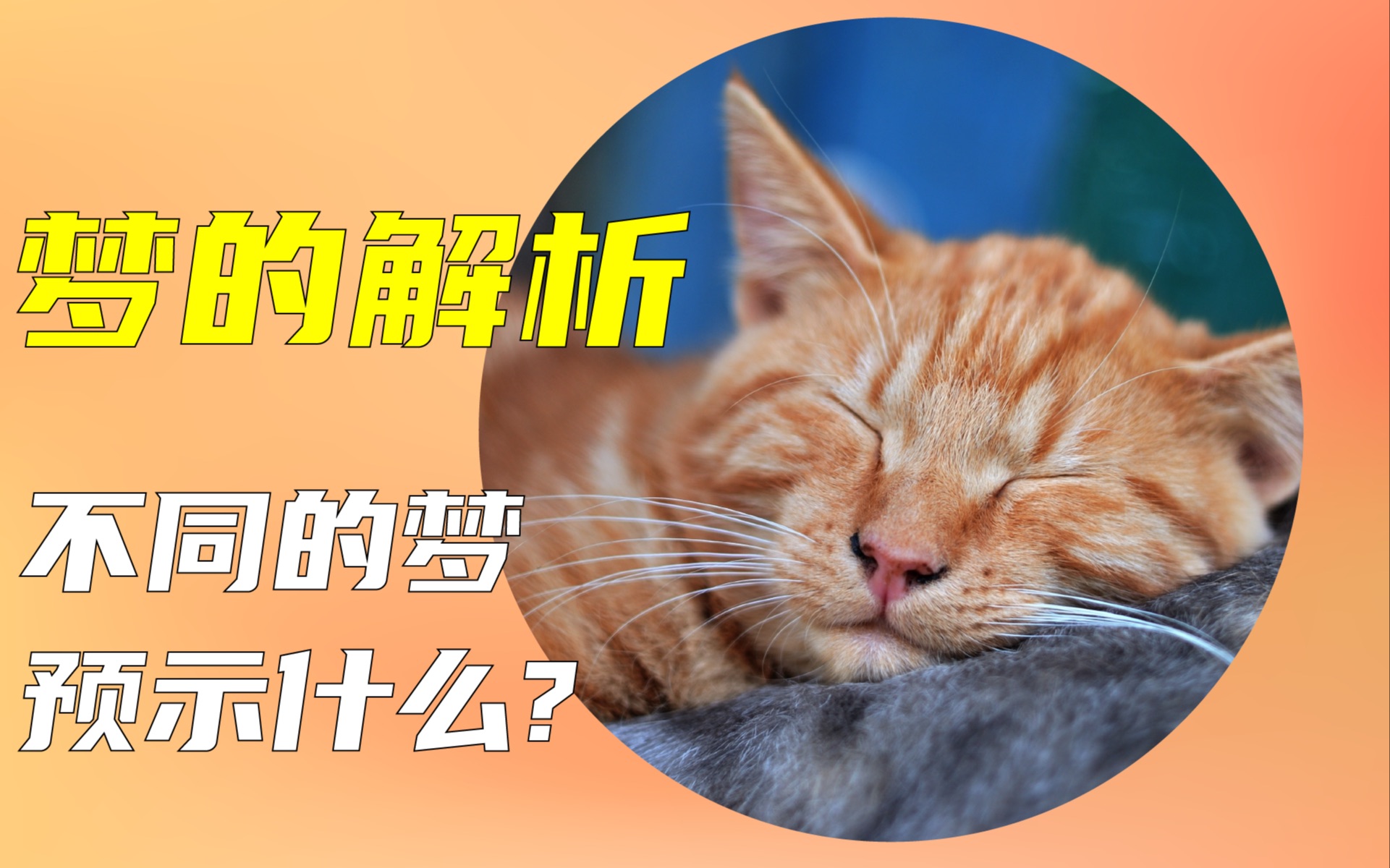【梦的解析】心理学解析,17个你不可忽视的梦境|简单心理译制