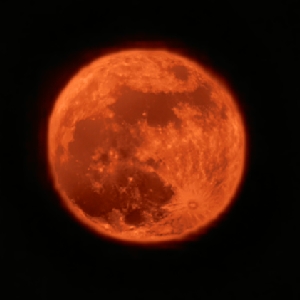 zuiyimeihuashang 