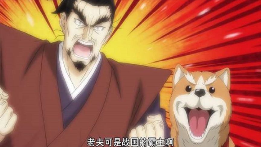 织田信长变成了萌柴犬?盘点7部被动漫玩坏的织田信长
