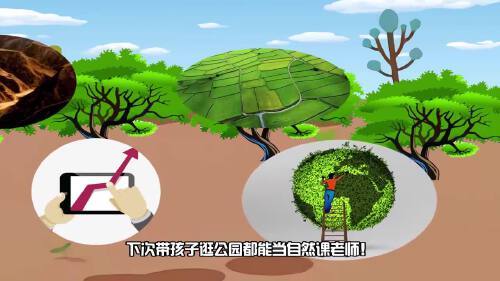 揭秘全球植物种类:这份统计表让你大开眼界!