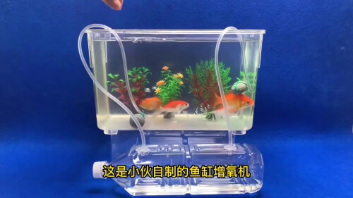 用空水瓶自制鱼缸增氧装置