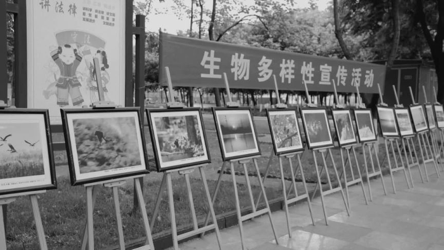 生物多样性宣传怎么能少了这群人呢!#生物多样性保护