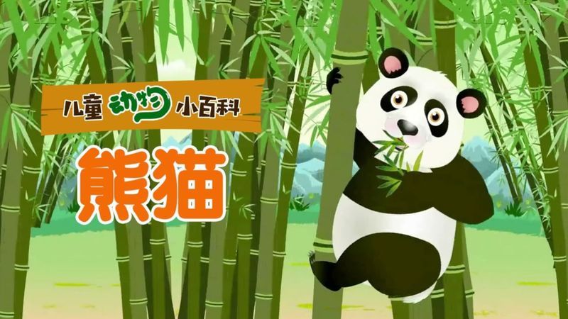 儿童动物小百科熊猫