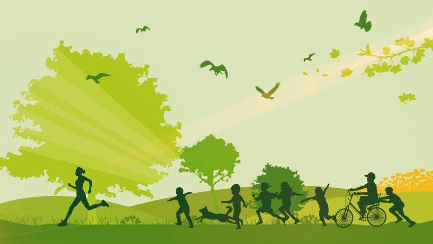 环保生活垃圾分类,以浦东宣传片为引