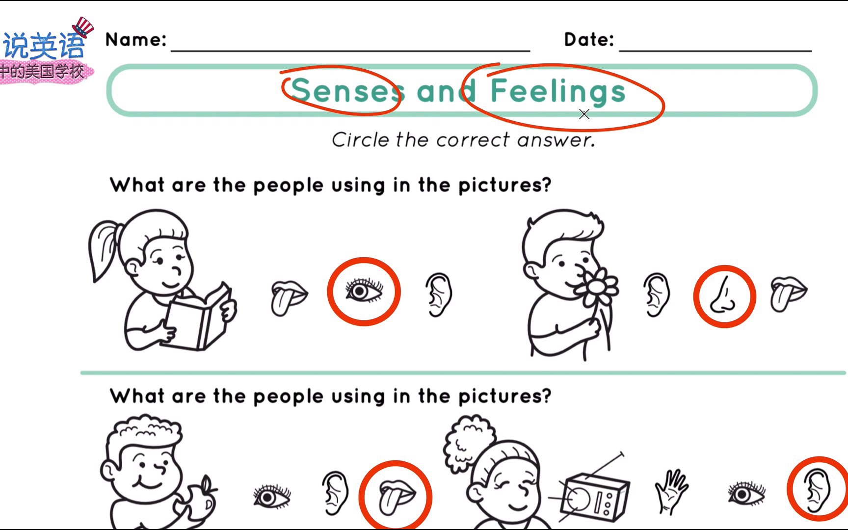 做美国小学生作业学英语,感官和感受